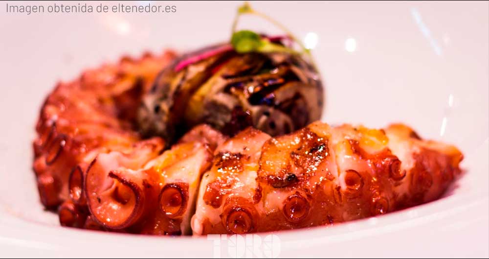 Toro Tapas El Puerto, te contamos nuestra experiencia