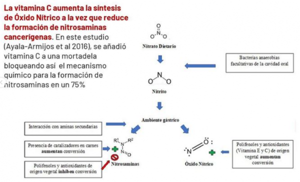 Carne procesada, nitratos y cáncer | Ismael Galancho