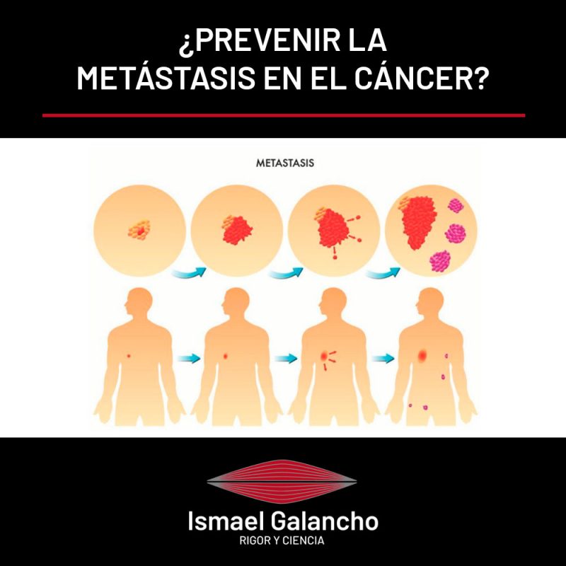 ¿Prevenir la metástasis en el cáncer? | Ismael Galancho