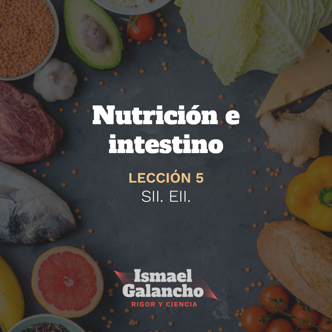 LECCIÓN 5: SII, EII - Ismael Galancho