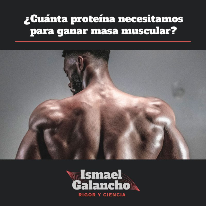 Cuánta Proteína Tomar Al Día Para Ganar Masa Muscular