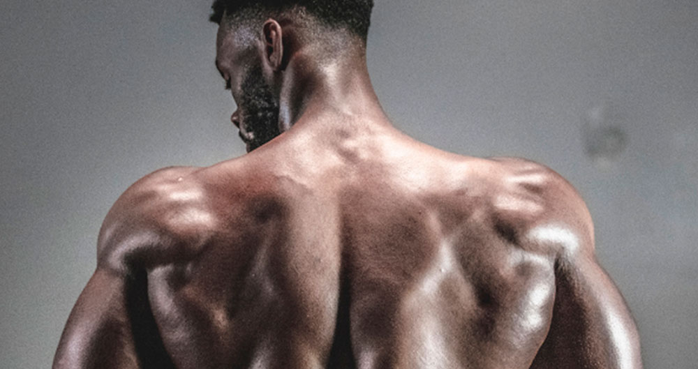 Cuánta Proteína Tomar Al Día Para Ganar Masa Muscular