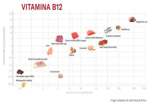 Alimentos ricos en vitamina B12 - Ismael Galancho