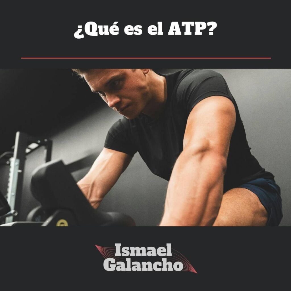 ¿Qué es el ATP, para qué sirve y cómo funciona el ATP muscular?: qué ...