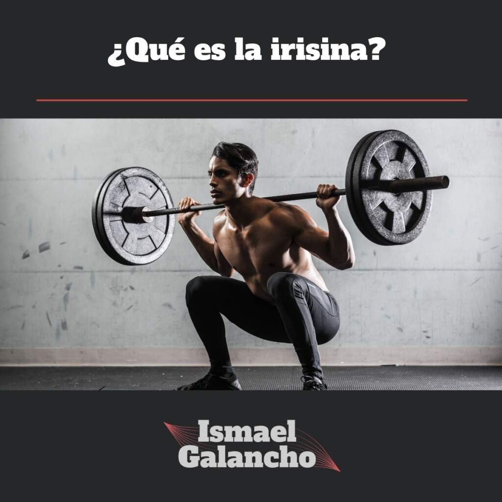 Alimentos con calcio y su absorción real: Guía definitiva del calcio